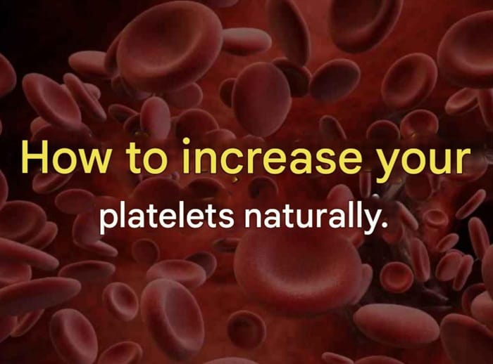 How to Naturally Increase Platelets: Effective Tips - Lots Diary